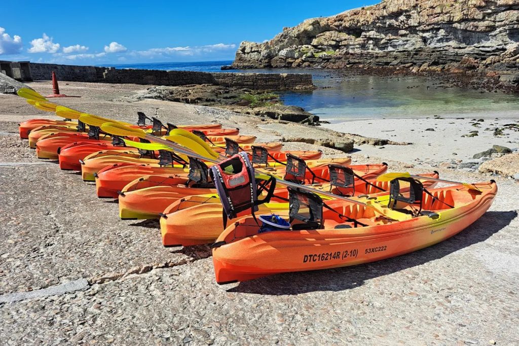 Sea Kayaking | Walkerbay Adventures