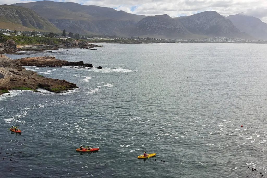 Sea Kayaking | Walkerbay Adventures