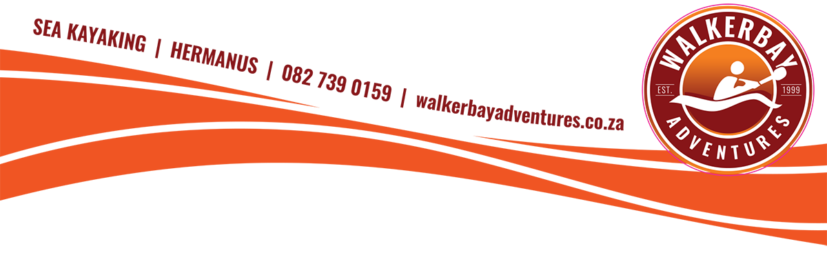 Home | Walkerbay Adventures